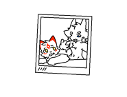 Developers | Changed Wiki | Fandom