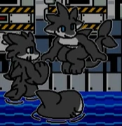 Sharks | Changed Wiki | Fandom