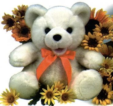 Sunshine Bear | Chantilly Lane Wiki | Fandom