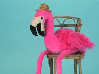 Mango Flamingo | Chantilly Lane Wiki | Fandom