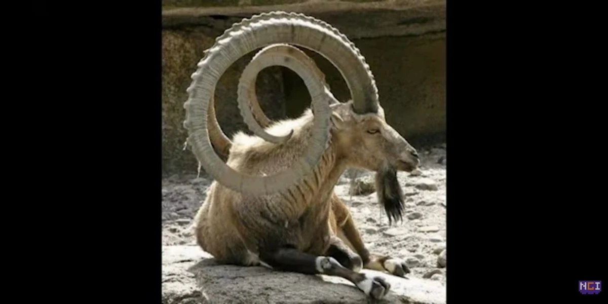 The goat | Chaos Boss Fighting Simulator Wiki | Fandom
