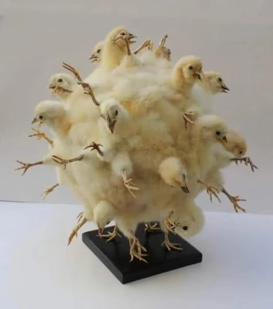 Chickamalgation | Chaos Boss Fighting Simulator Wiki | Fandom