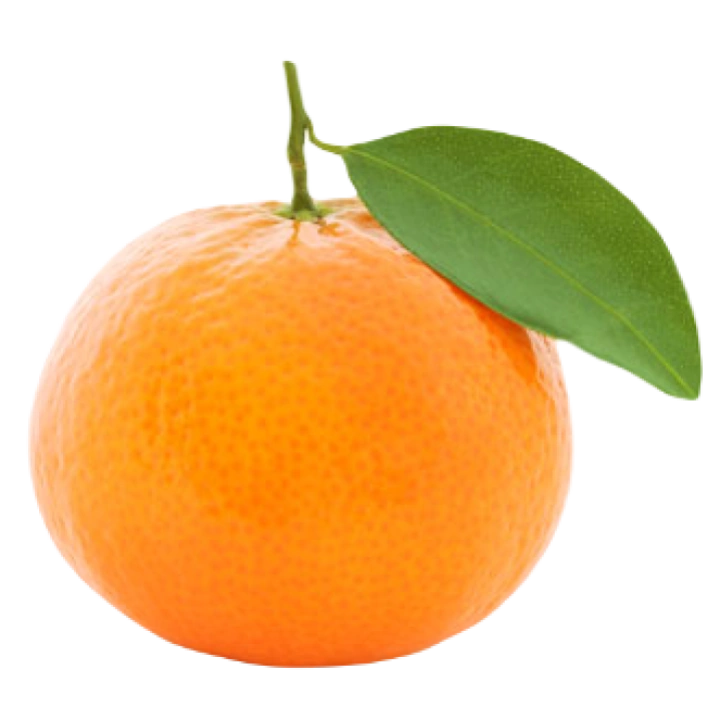 Mandarina | Chaos Chasers Wiki | Fandom