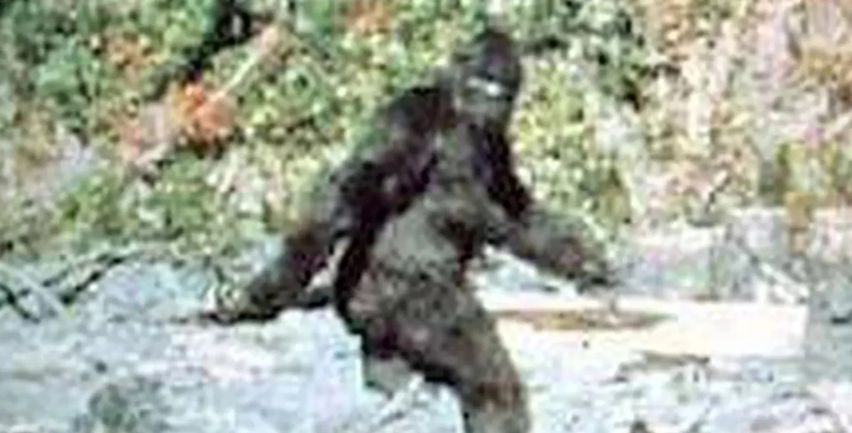 Sasquatches | Chaos Fiction Wiki | Fandom