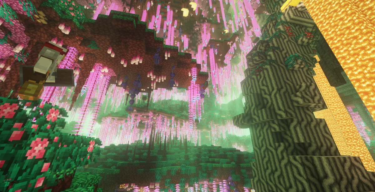 The Nether | Chaos SMP Wiki | Fandom