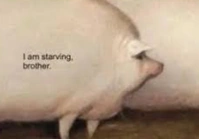 Starving Pig | Chaos Wiki | Fandom