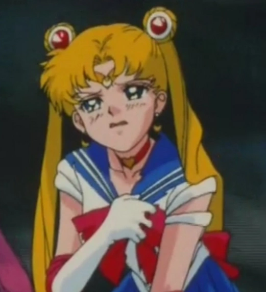 Other Usagi | Chaos Wiki | Fandom