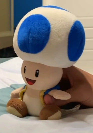 Blue Toad | ChaosEmeraldStar Wiki | Fandom