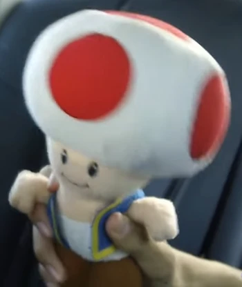 Toad | ChaosEmeraldStar Wiki | Fandom