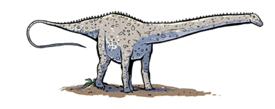 Diplodocus | Chaos of Illusion Wiki | Fandom