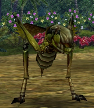 Mantis | Chaos Rings Wiki | Fandom