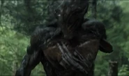 The Land | Chaos Walking Wiki | Fandom