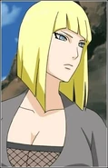 Samui (Naruto) | Charactah Account Wiki | Fandom