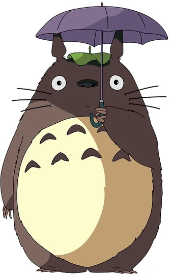 Totoro | Charactah Account Wiki | Fandom