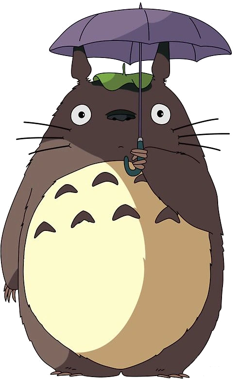 Totoro | Charactah Account Wiki | Fandom