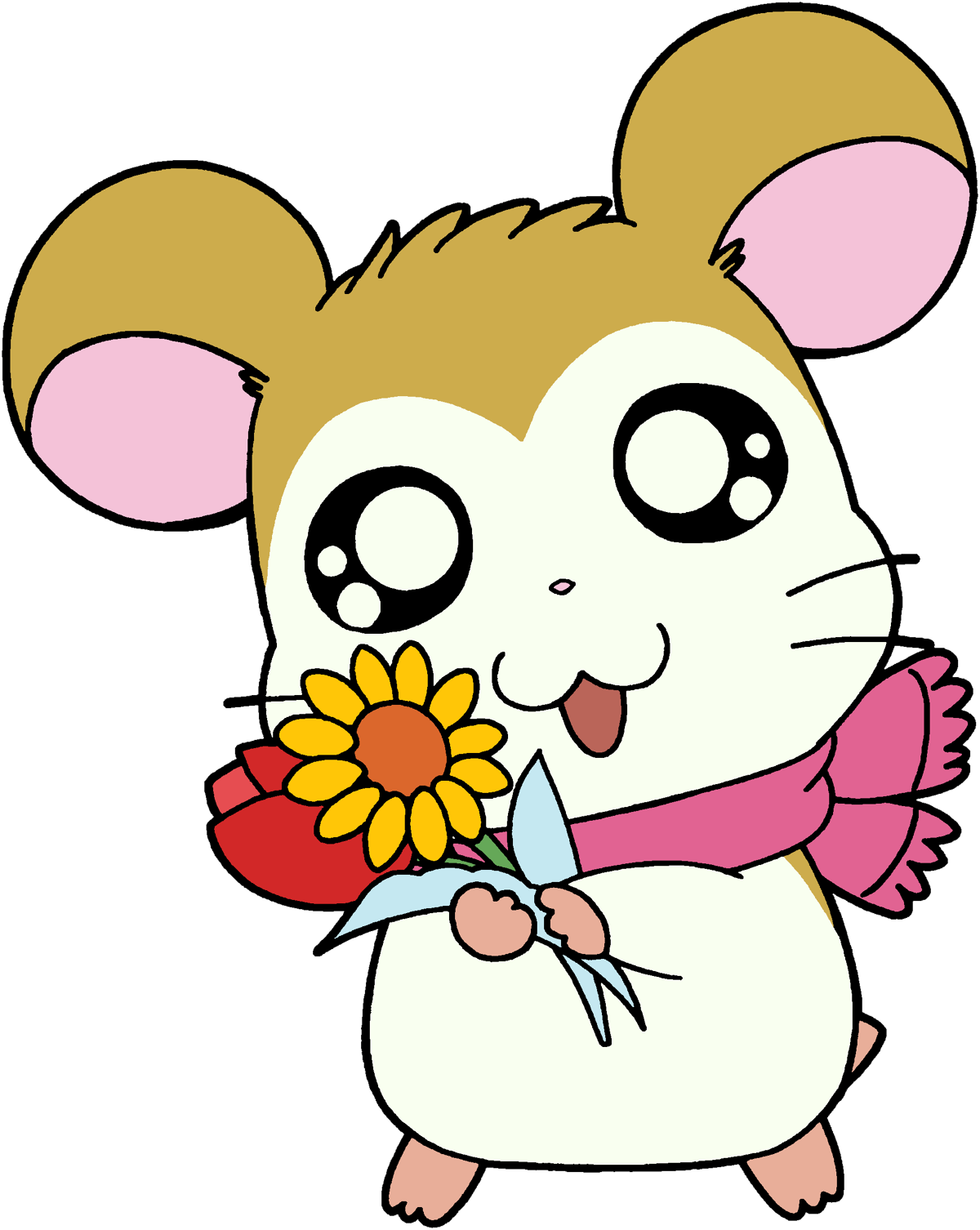 Pashmina | Charactah Account Wiki | Fandom