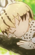 Ocelot | Charactah Account Wiki | Fandom