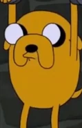 Jake the Dog | Charactah Account Wiki | Fandom