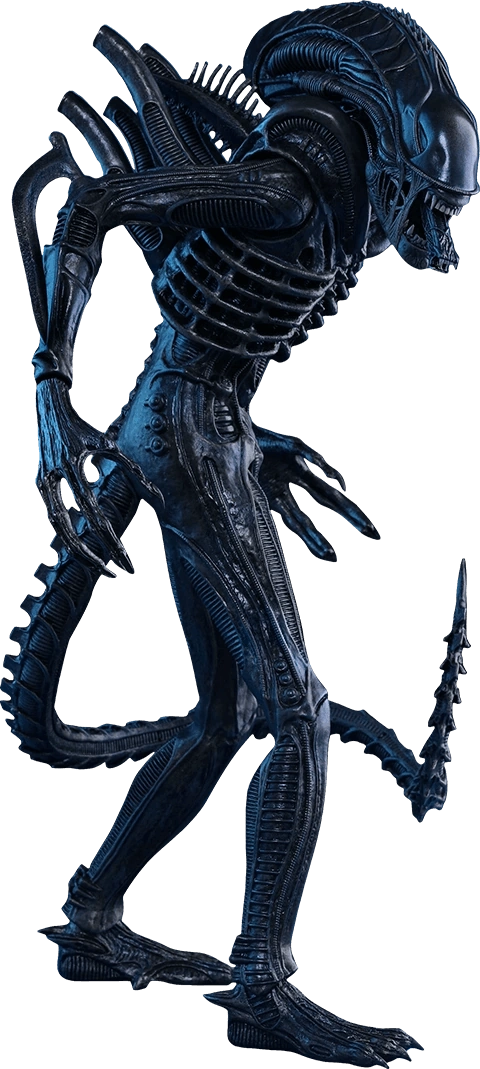 Xenomorph | Charactah Account Wiki | Fandom