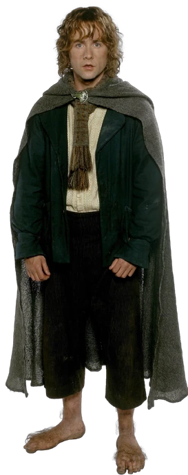 Pippin Took | Charactah Account Wiki | Fandom