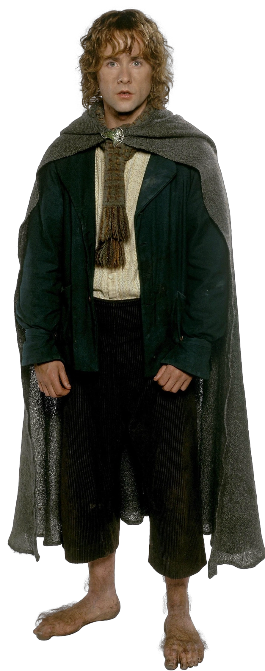 Pippin Took | Charactah Account Wiki | Fandom