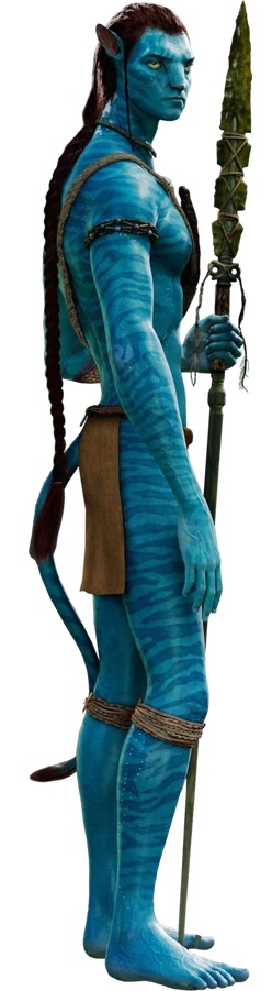 Jake Sully | Charactah Account Wiki | Fandom