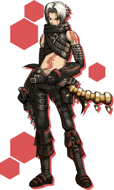 Haseo | Charactah Account Wiki | Fandom