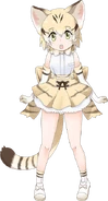 Sand Cat | Charactah Account Wiki | Fandom