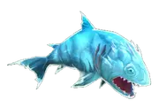 Ice Shark (Hungry Shark Evolution) | Character catalogue Wiki | Fandom