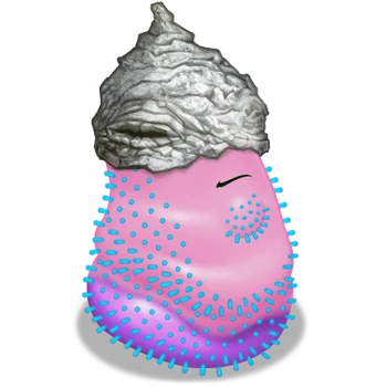 Rare Yelmut (My Singing Monsters) | Character catalogue Wiki | Fandom