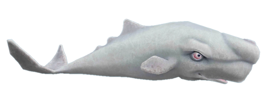 Moby Dick Hungry Shark Evolution Character Catalogue Wiki Fandom