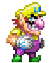 Wario (Mario) | Character catalogue Wiki | Fandom