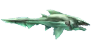 Electro Shark (Hungry Shark Evolution) | Character catalogue Wiki | Fandom