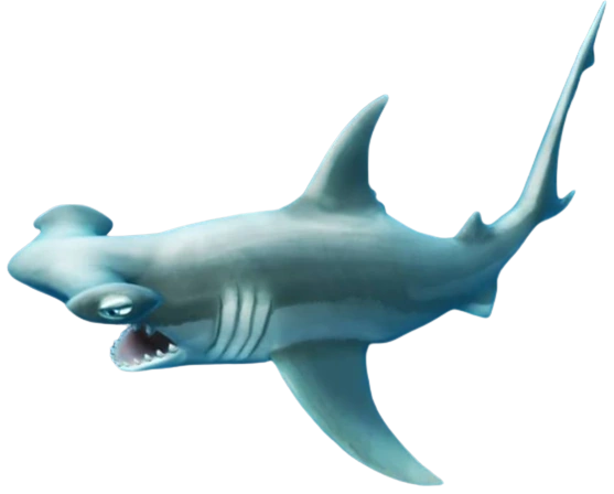 Hammerhead Shark (Hungry Shark Evolution) | Character catalogue Wiki ...