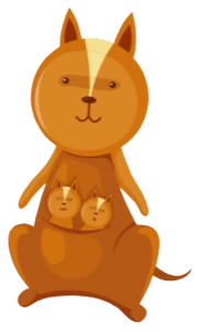 Kangaroo (ABCya Paint) | Character catalogue Wiki | Fandom