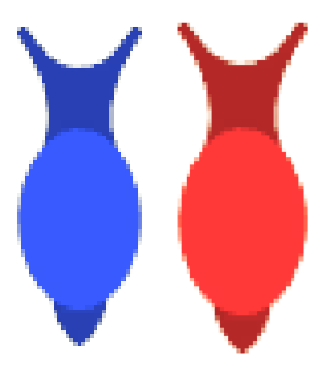 Snail (2D Battle Simulator) | Character catalogue Wiki | Fandom