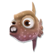 Baby Sunfish (Hungry Shark Evolution) | Character catalogue Wiki | Fandom