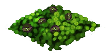 Inverdigus Plant (My Singing Monsters) | Character catalogue Wiki | Fandom