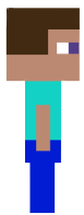 Steve (Minecraft) | Character catalogue Wiki | Fandom