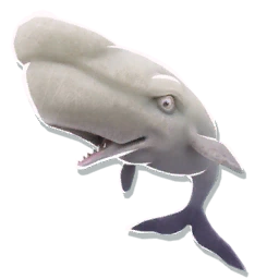 Little Dickie (Hungry Shark Evolution) | Character catalogue Wiki | Fandom