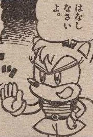 Amy Rose (Canon, Composite)/Wixzers | Character Stats and Profiles Wiki ...