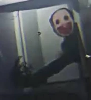 Trucidatum Carnis (vita carnis mimic) | Character Stats and Profiles Wiki | Fandom