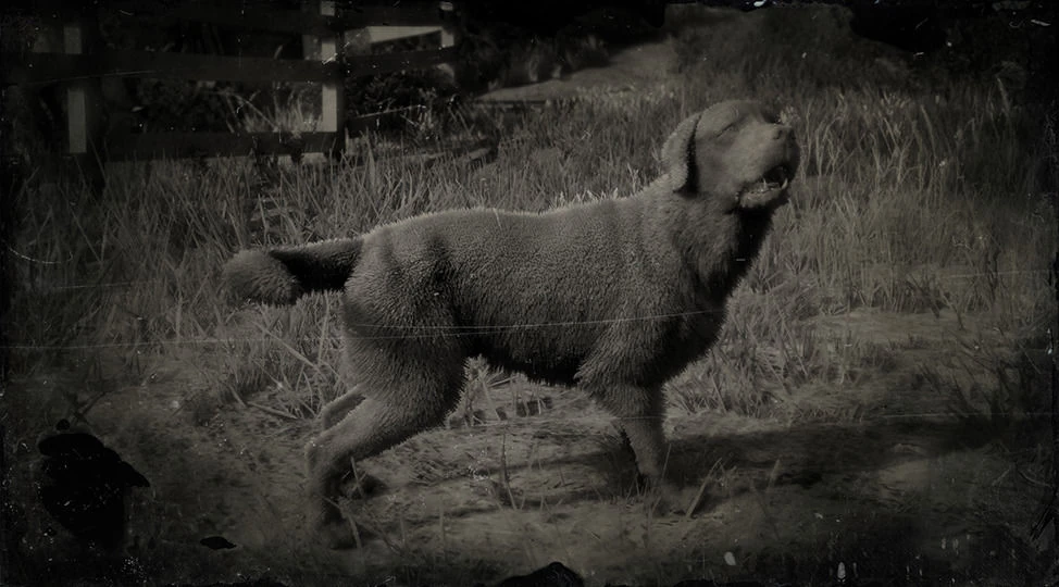 Dog (Canon, Red Dead Redemption)/StrikerIsJustStriker | Character Stats ...