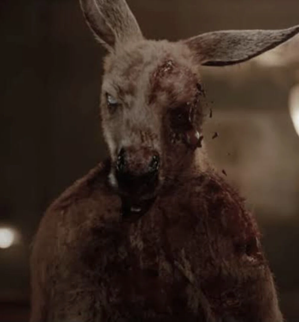 Rippy (Canon, The Red)/StrikerIsJustStriker | Character Stats and ...