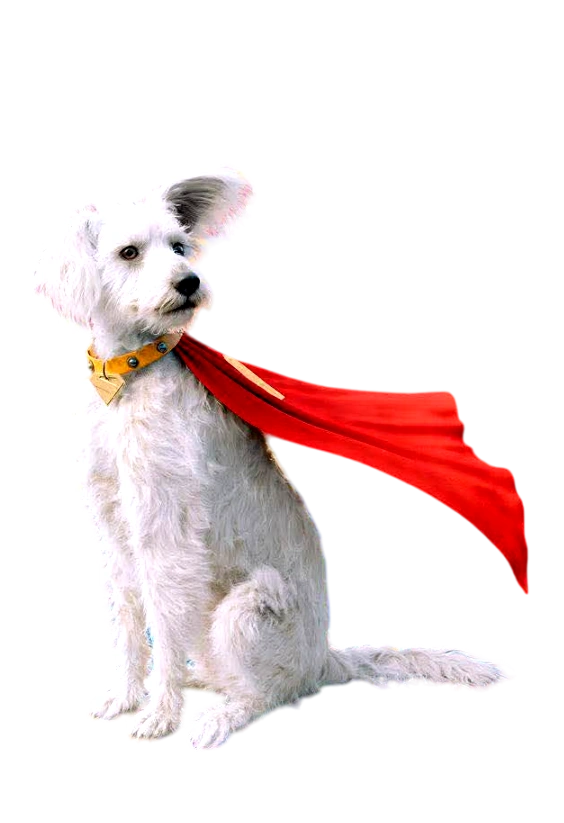Krypto the Superdog (Canon, DC Universe)/Lesshe | Character Stats and ...
