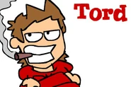 Tord | Character Stats and Profiles Wiki | Fandom