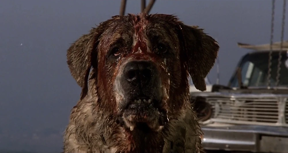Cujo (Canon, Stephen King)/StrikerIsJustStriker | Character Stats and ...