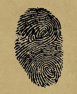 SCP-4666 (Canon)/OhMrKnight | Character Stats and Profiles Wiki | Fandom