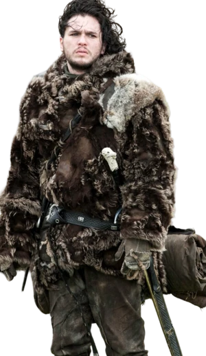 Jon Snow (Canon, Game of Thrones)/Lesshe | Character Stats and Profiles ...