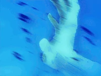 User blog:Guacamolefletcher/Ulquiorra Cifer profile | Character Stats ...